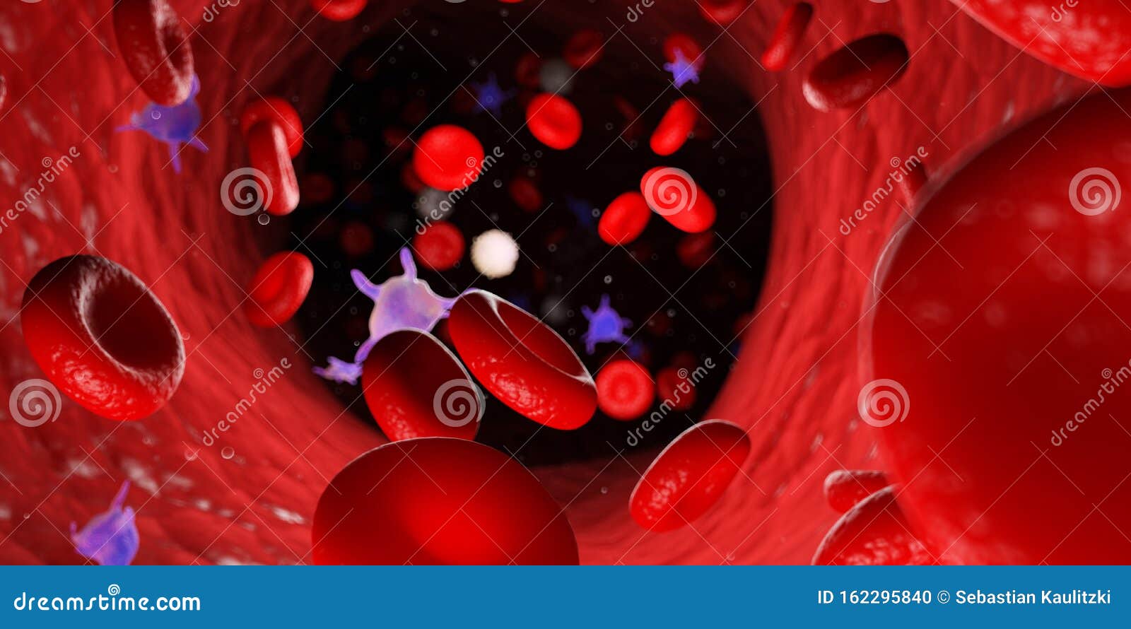 The human blood stock illustration. Illustration of medical - 162295840