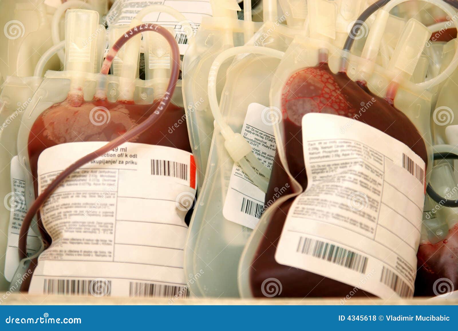 Human blood donation stock photo. Image of extraction - 4345618