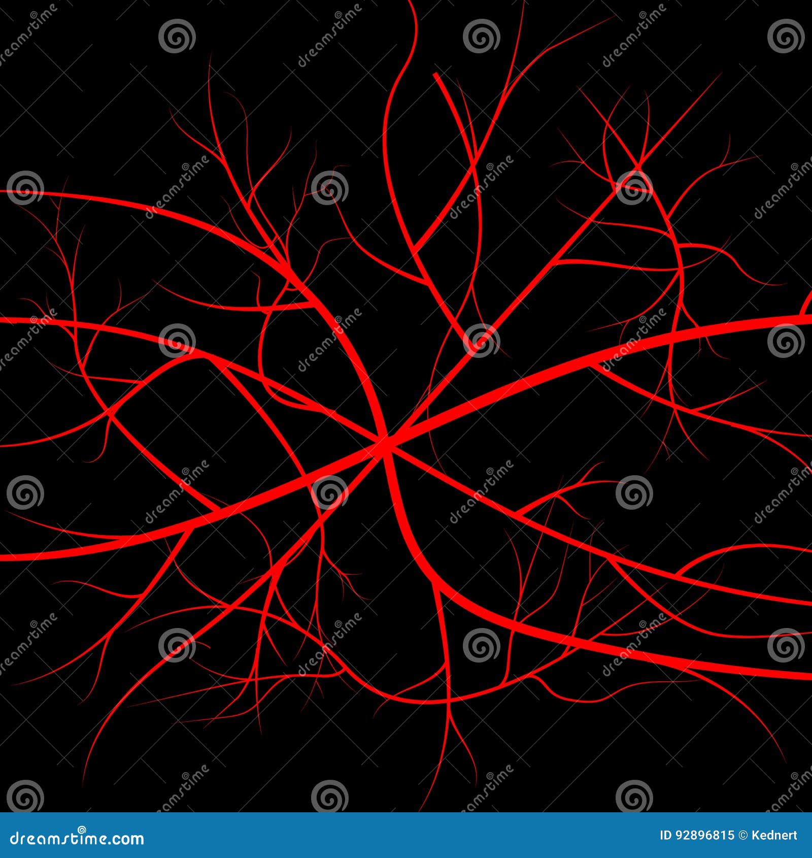 Human Blood Veins, Red Vessels Stock Vector - Illustration of ...