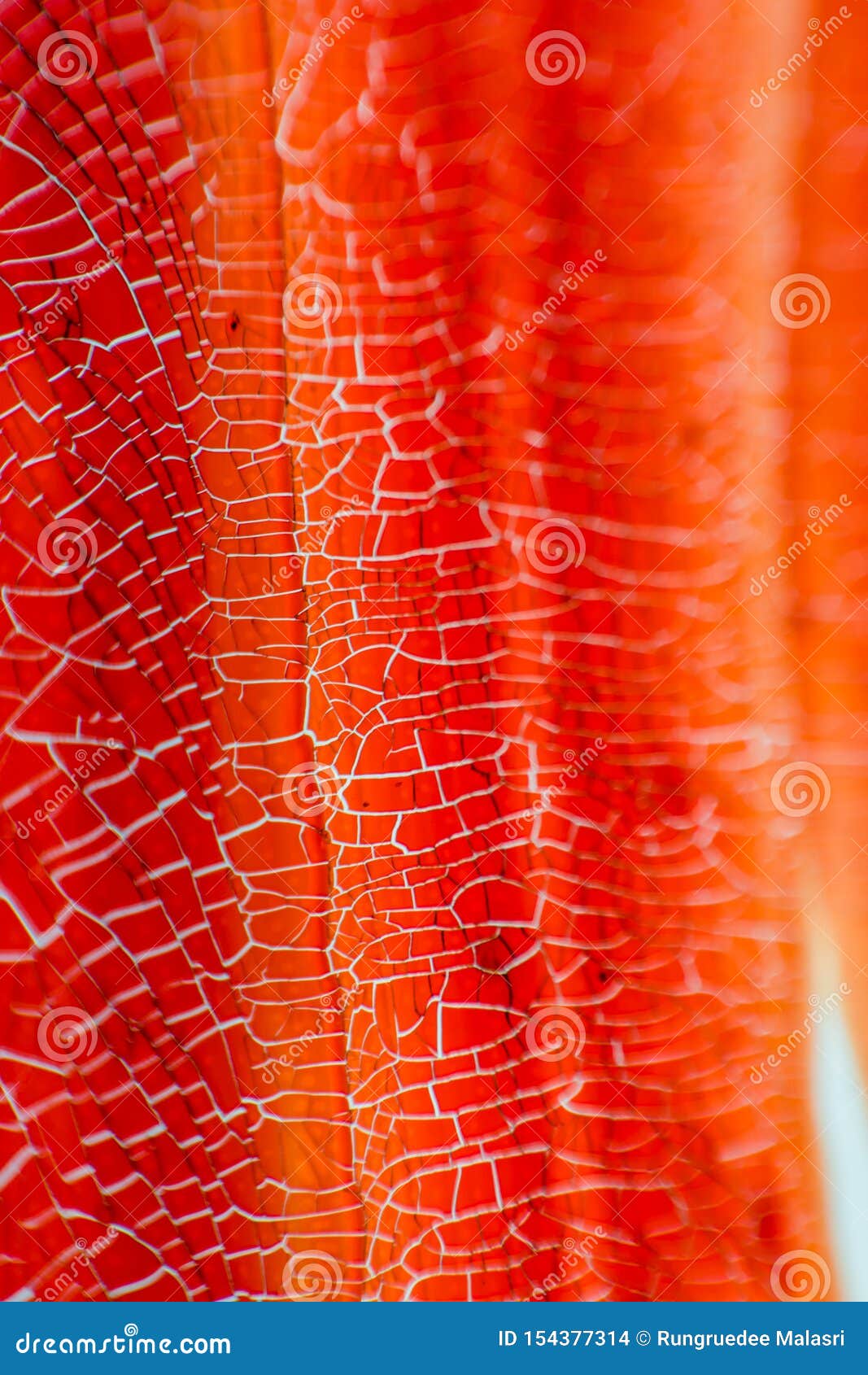 Human blood background stock photo. Image of life, blood - 154377314