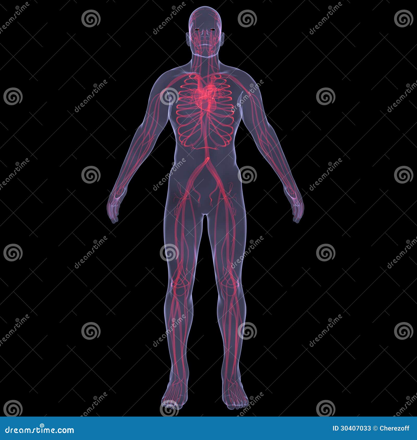 Bloodstream Cartoons, Illustrations & Vector Stock Images - 3196 ...
