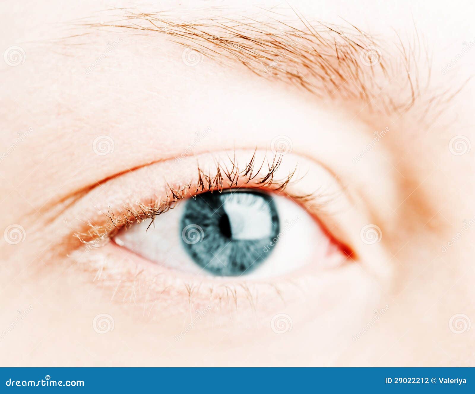 Human blue eye. stock photo. Image of expectation, beautiful - 29022212