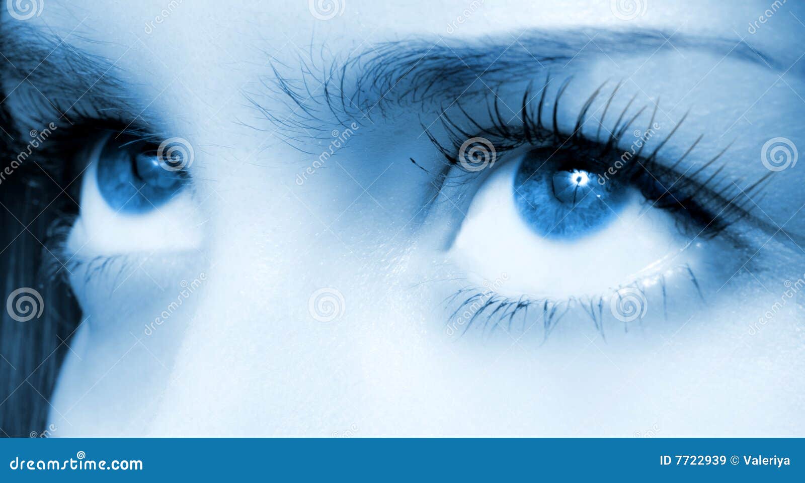 Human blue eye. stock image. Image of optic, optimistic - 7722939