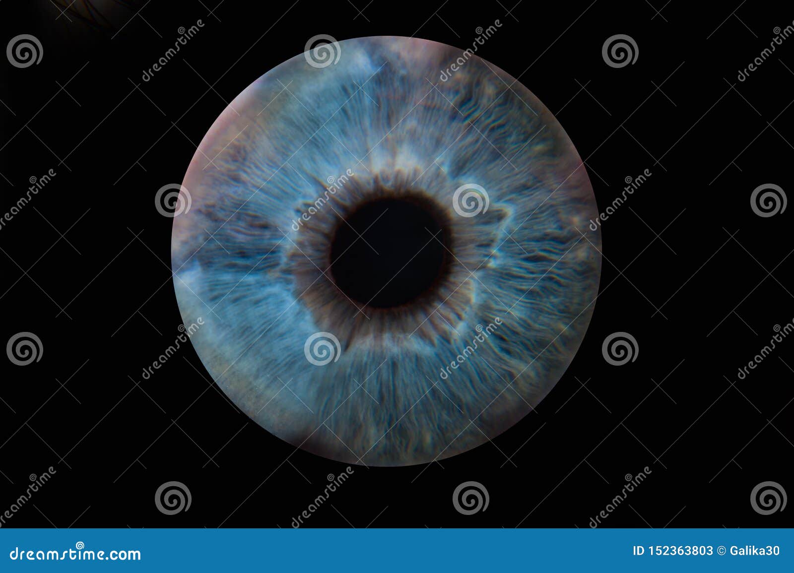 Blue Human Pupil on Black Background Stock Image - Image of lens, light ...
