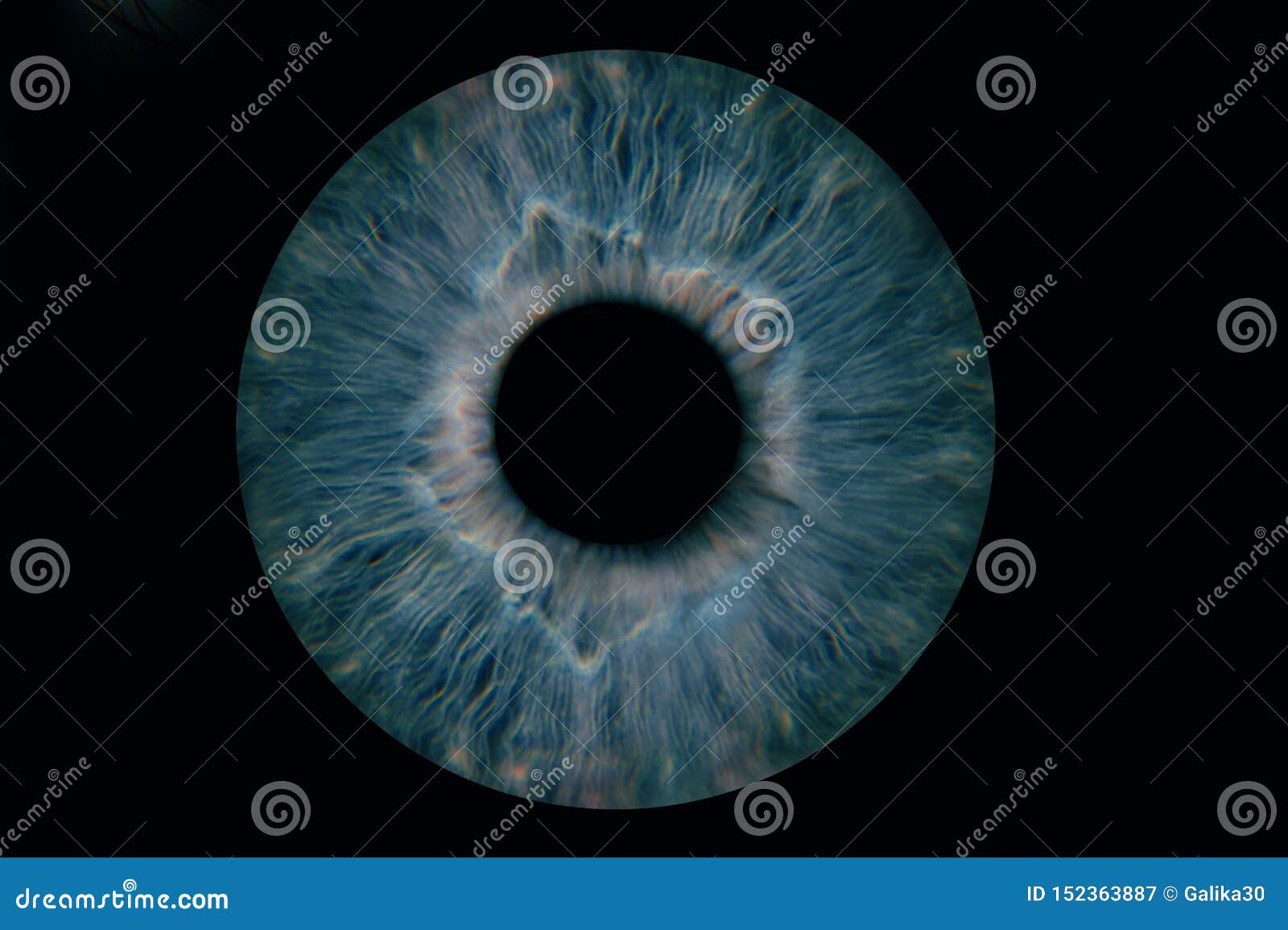 Blue Human Pupil on Black Background Stock Image - Image of design ...