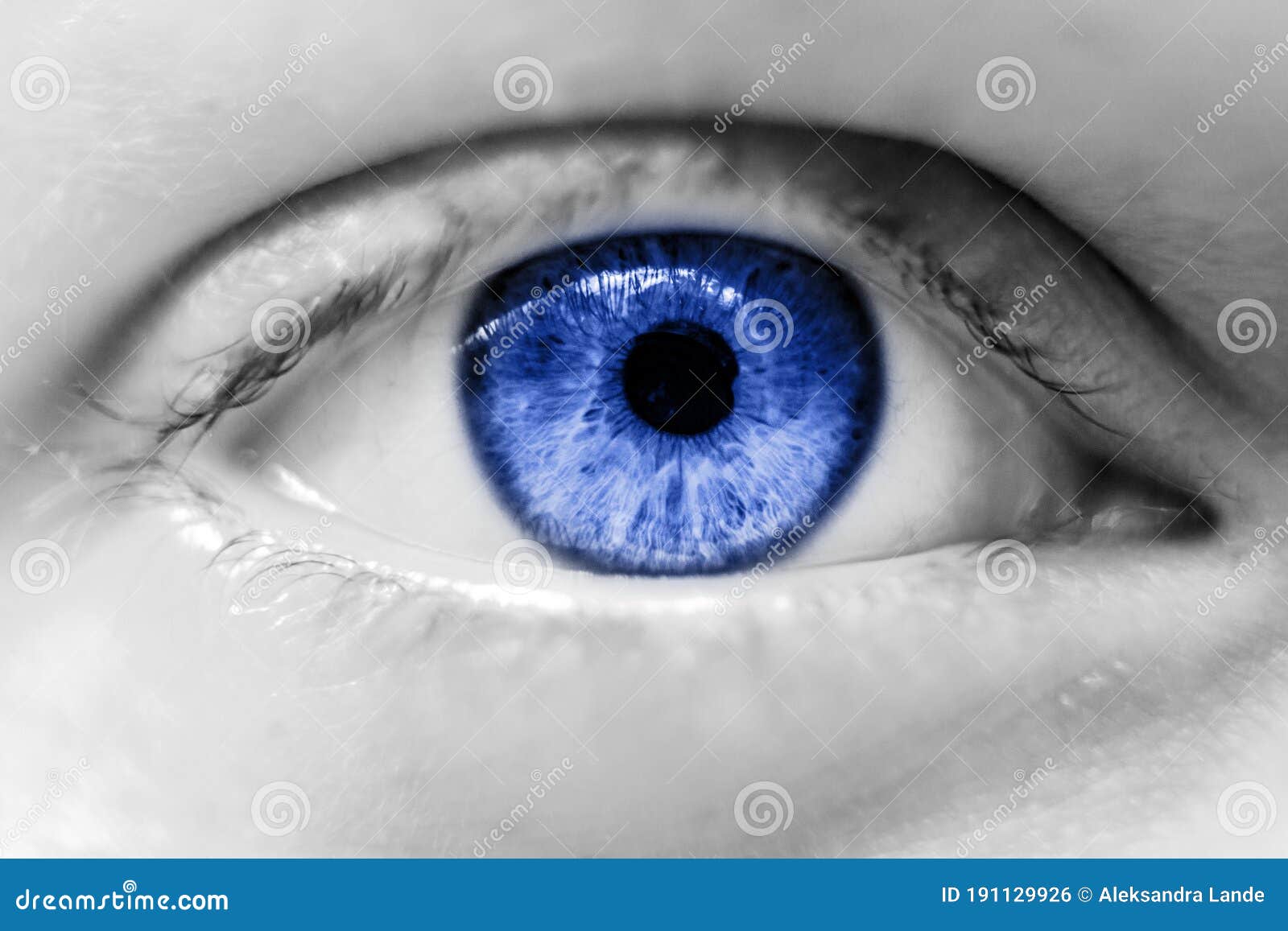 Human blue eye macro stock photo. Image of macro, soul - 191129926