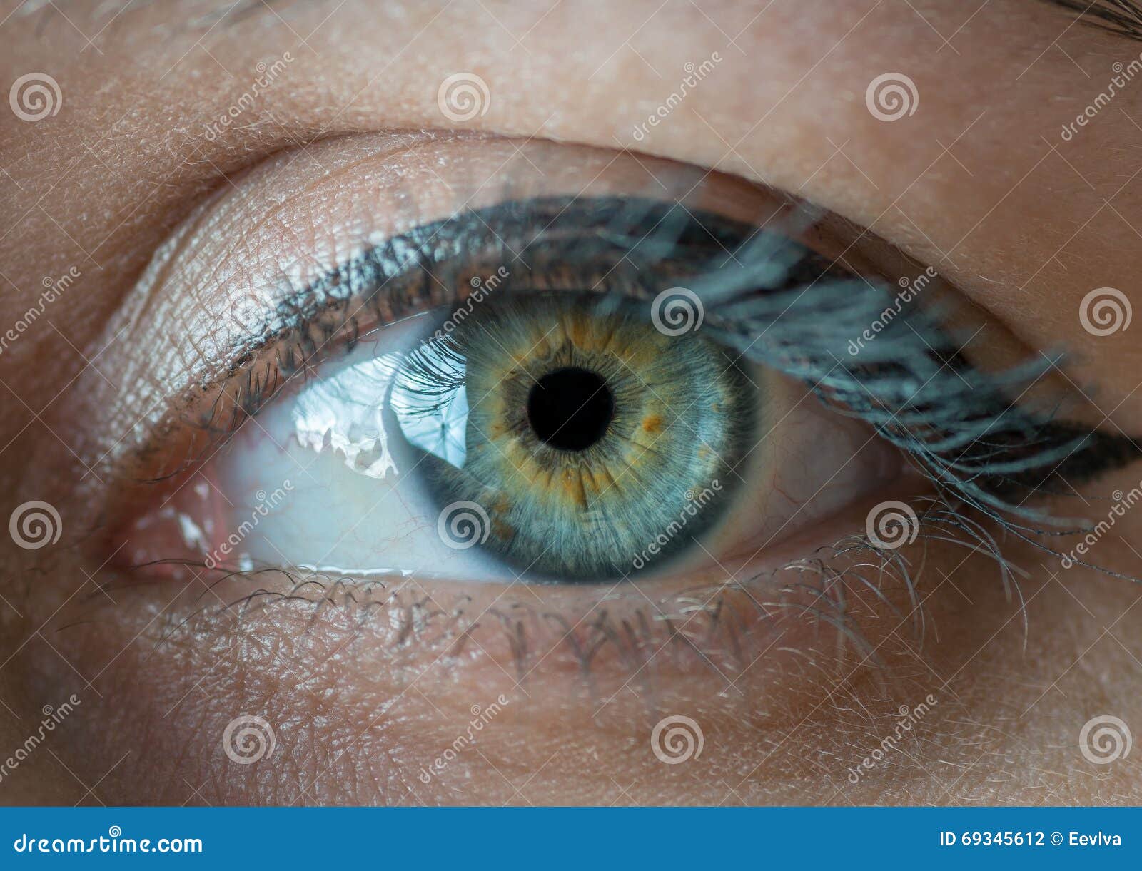 Human blue eye. stock photo. Image of closeup, creative - 69345612
