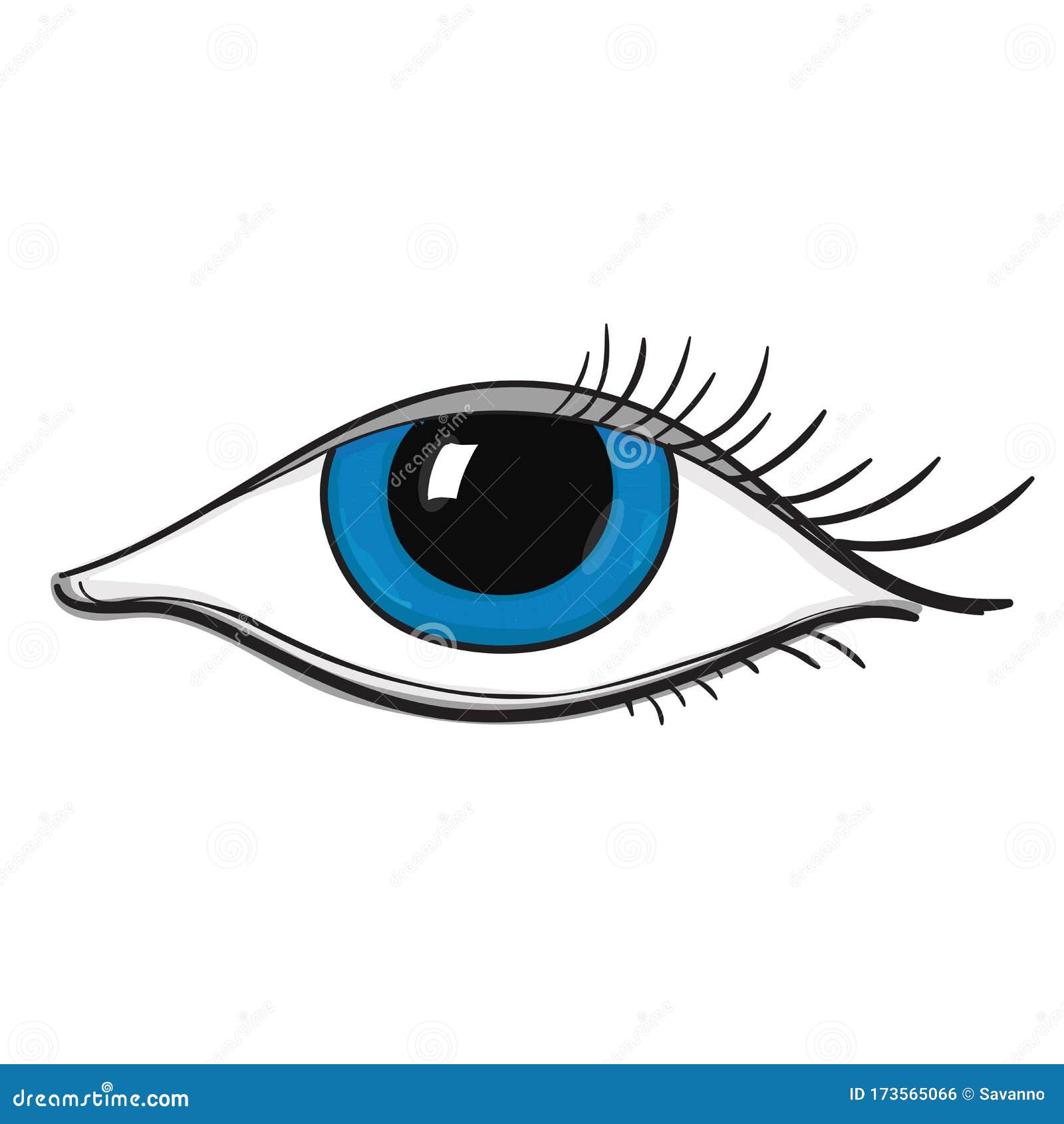 Human blue eye stock vector. Illustration of bright - 173565066