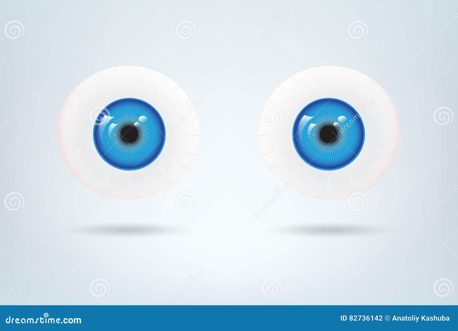Human Blue Eyes Balls Pupil. Medical Visual Material Stock Vector ...