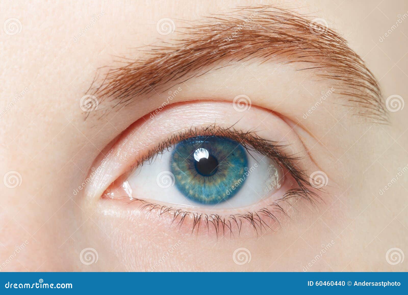 Human, Blue Healthy Eye Macro Stock Photo - Image of macro, closeup ...