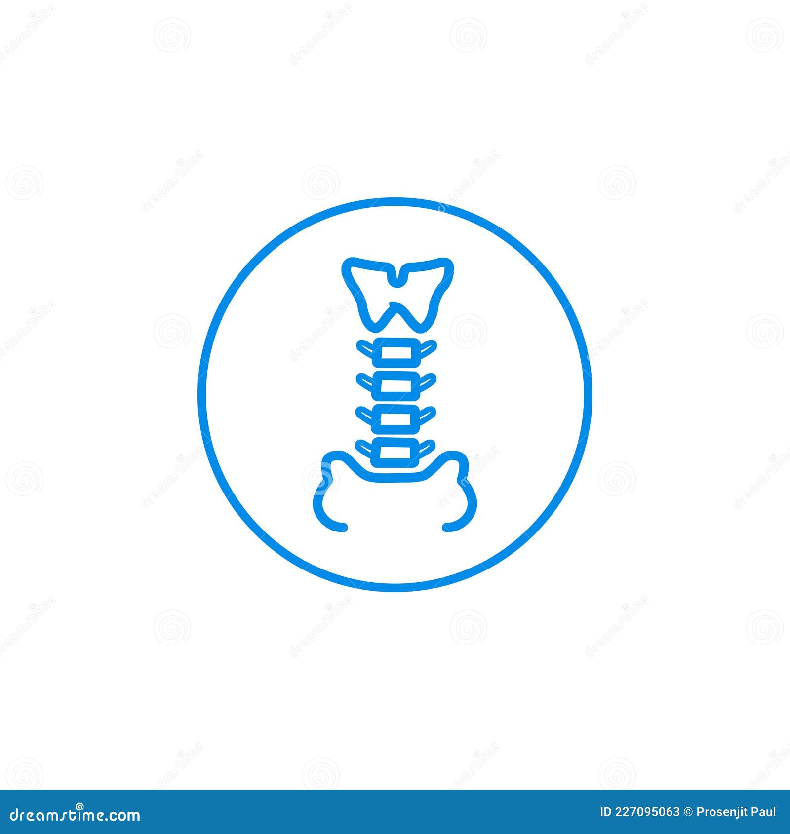 Human Body Backbone Icon Vector Stock Vector - Illustration of graphic ...