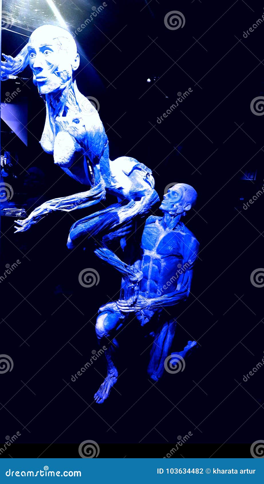 Human body in blue vision editorial photography. Image of body - 103634482
