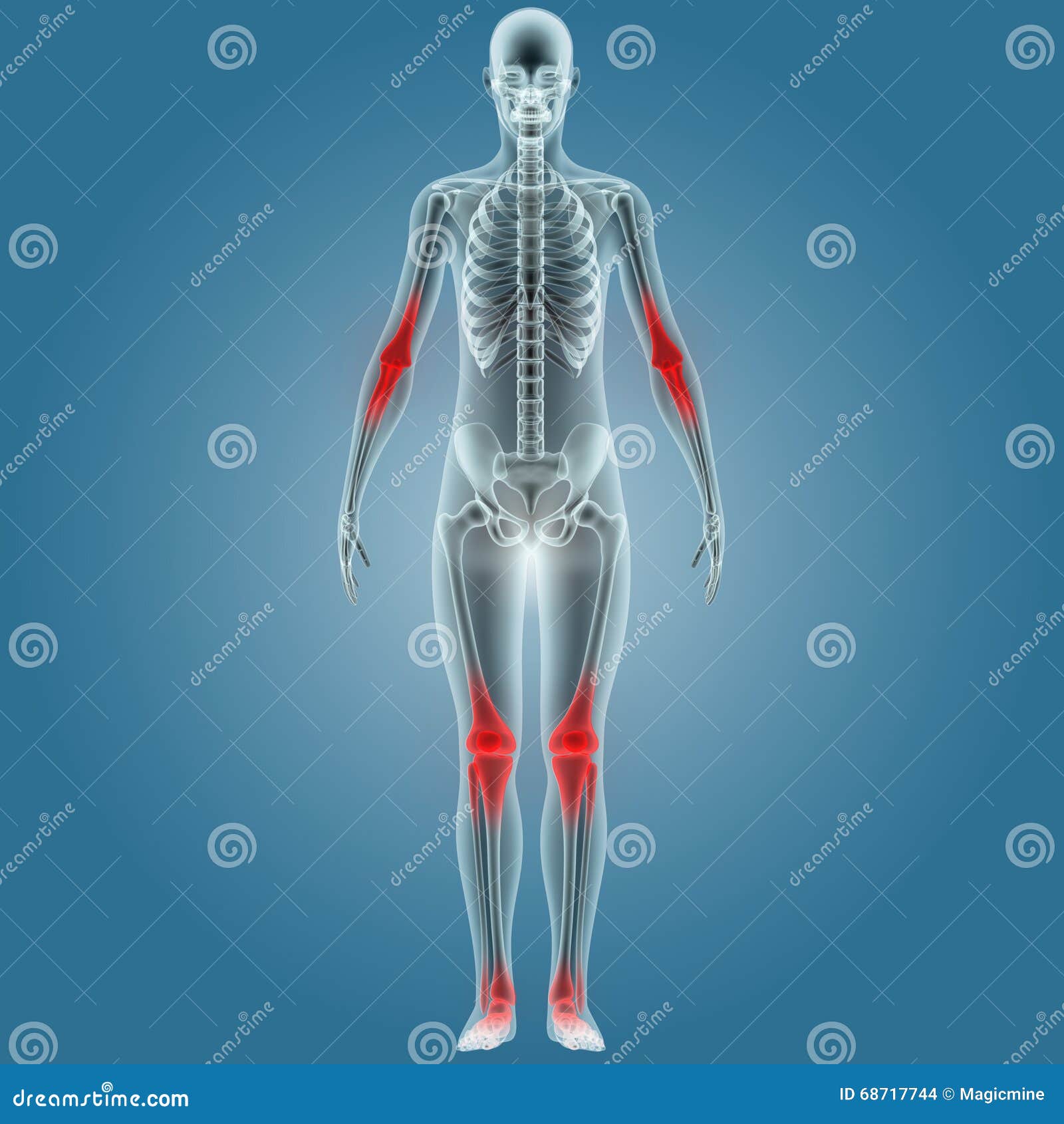 Human Body Bone Pains stock illustration. Illustration of knee - 68717744