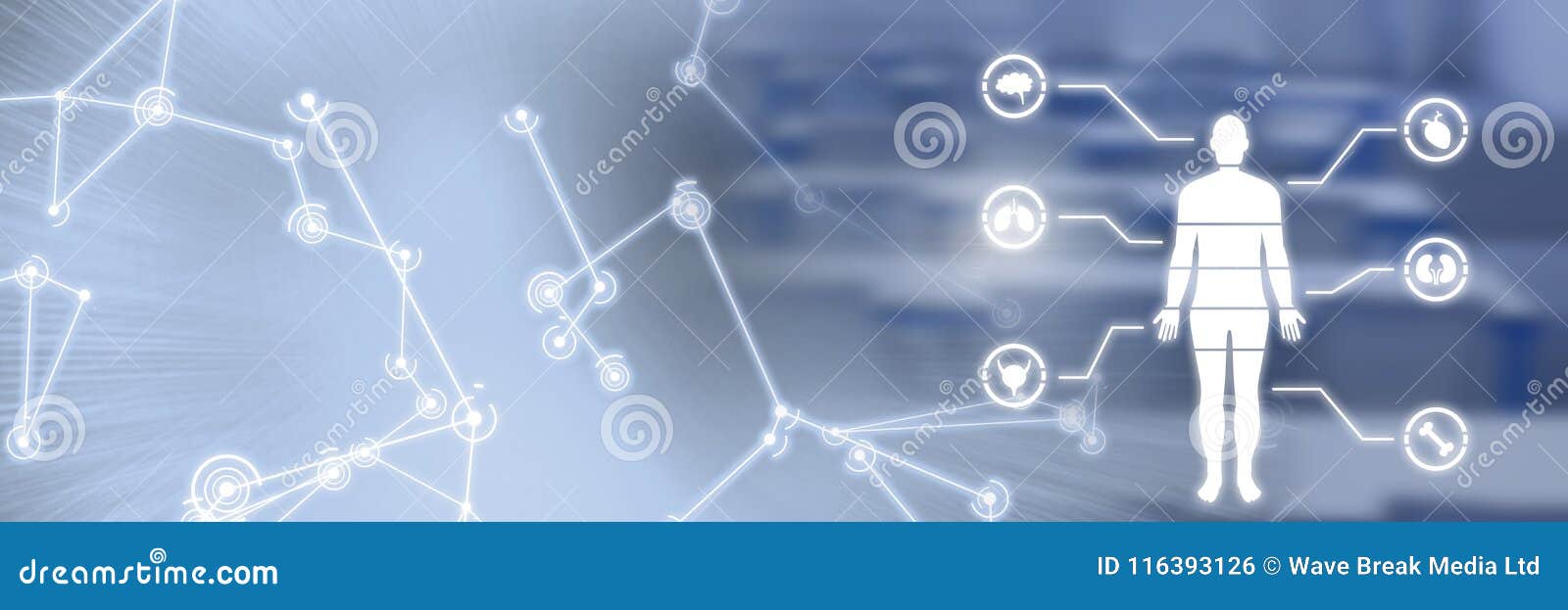 Human Body Chart With Classroom And Transition Of Connecting Graphics ...