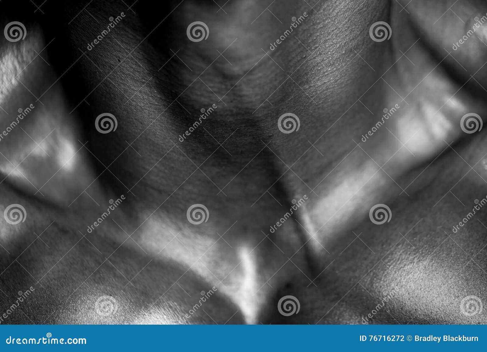 Human Body Close up stock photo. Image of pectoral, white - 76716272