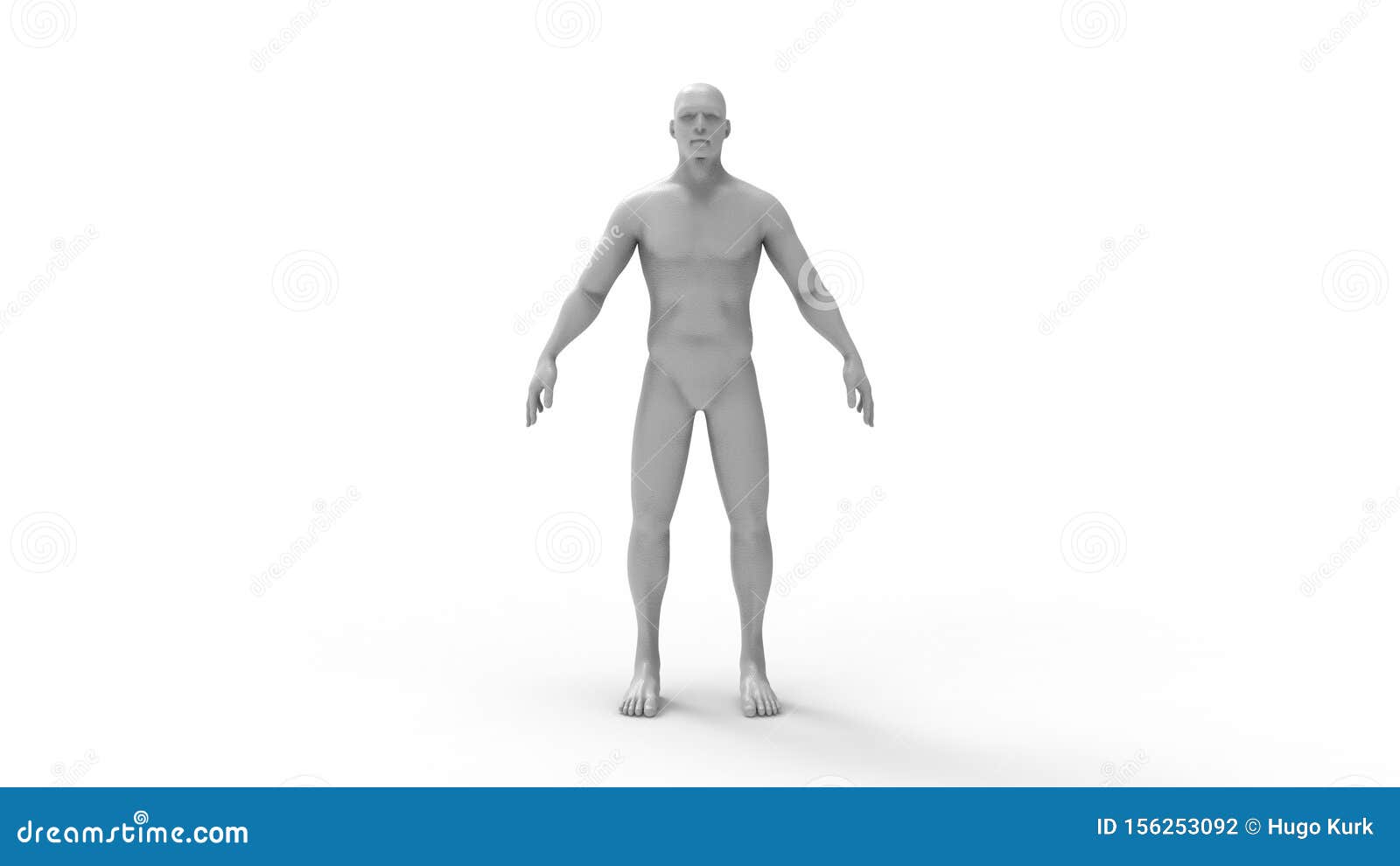 Human Body 3d Rendering of a Human Body Isolated in White Background ...