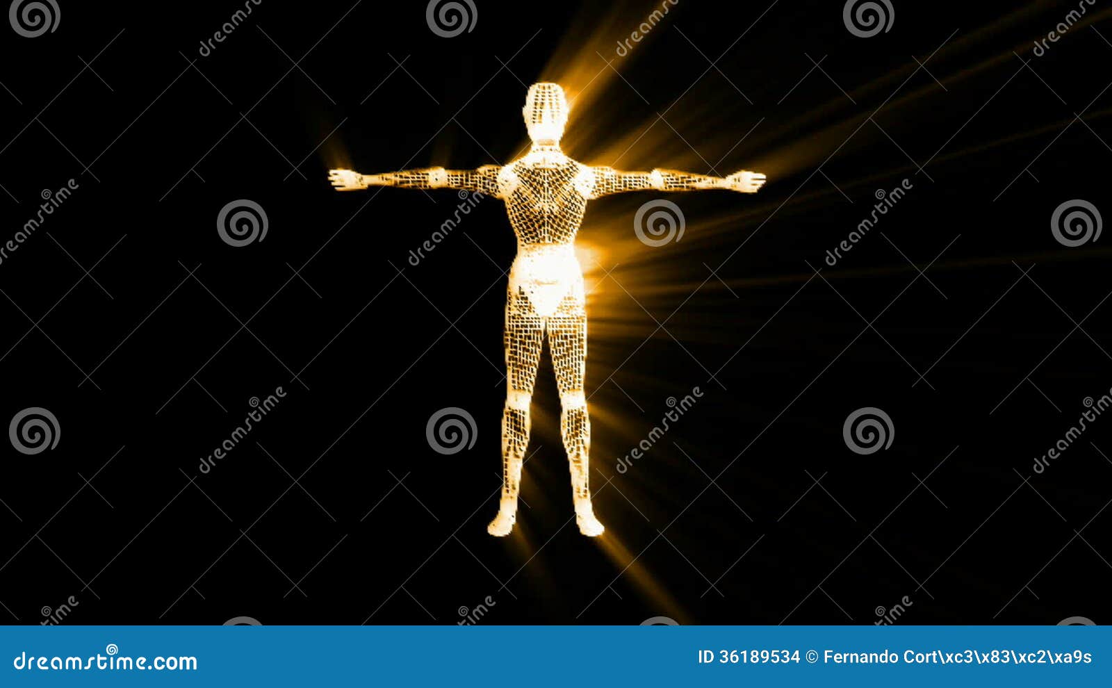 Human Body, 3d , Video Background. High Definition and Smooth Movement ...