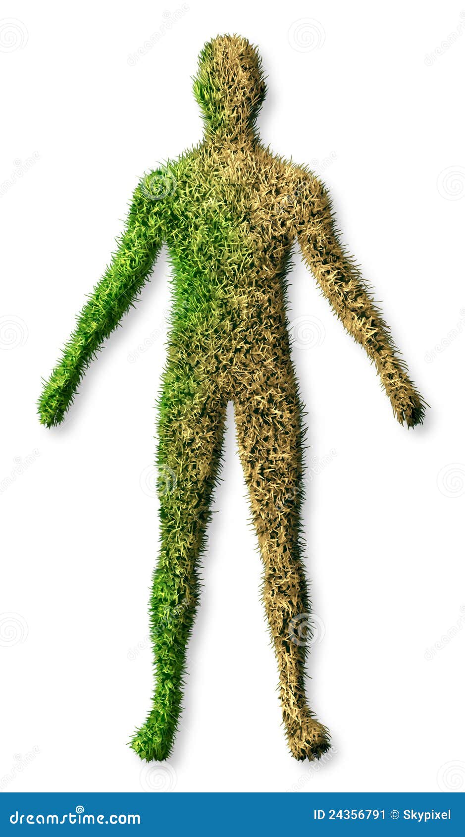 Human Body Disease stock illustration. Illustration of loss - 24356791