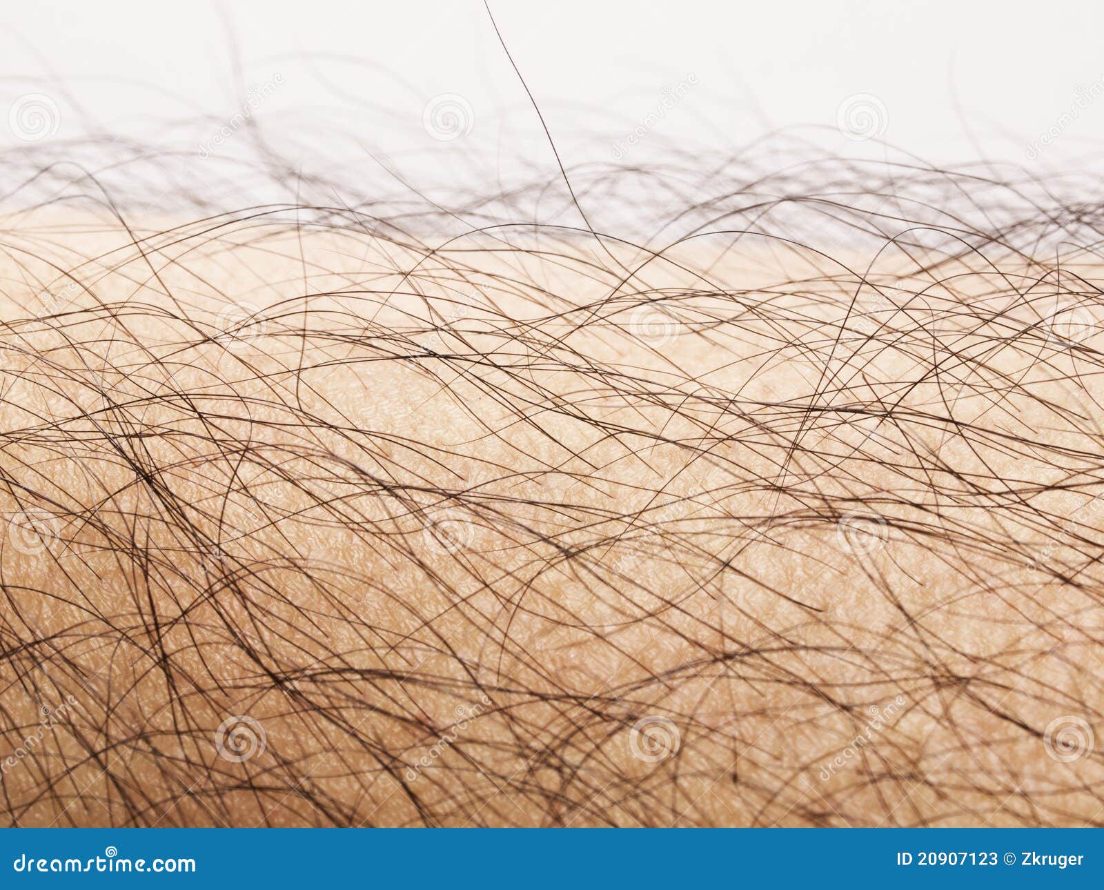 Human body hair stock image. Image of limb, body, horizontal - 20907123