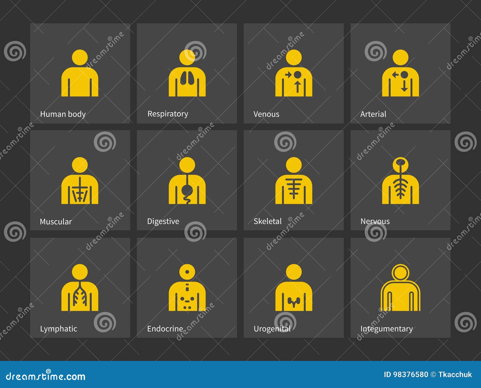 Human Body, Health Immune System Icons. Stock Vector - Illustration of ...