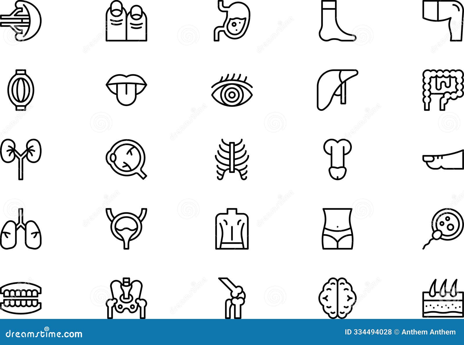 Human Body Icons Collection is a Vector Illustration with Editable ...