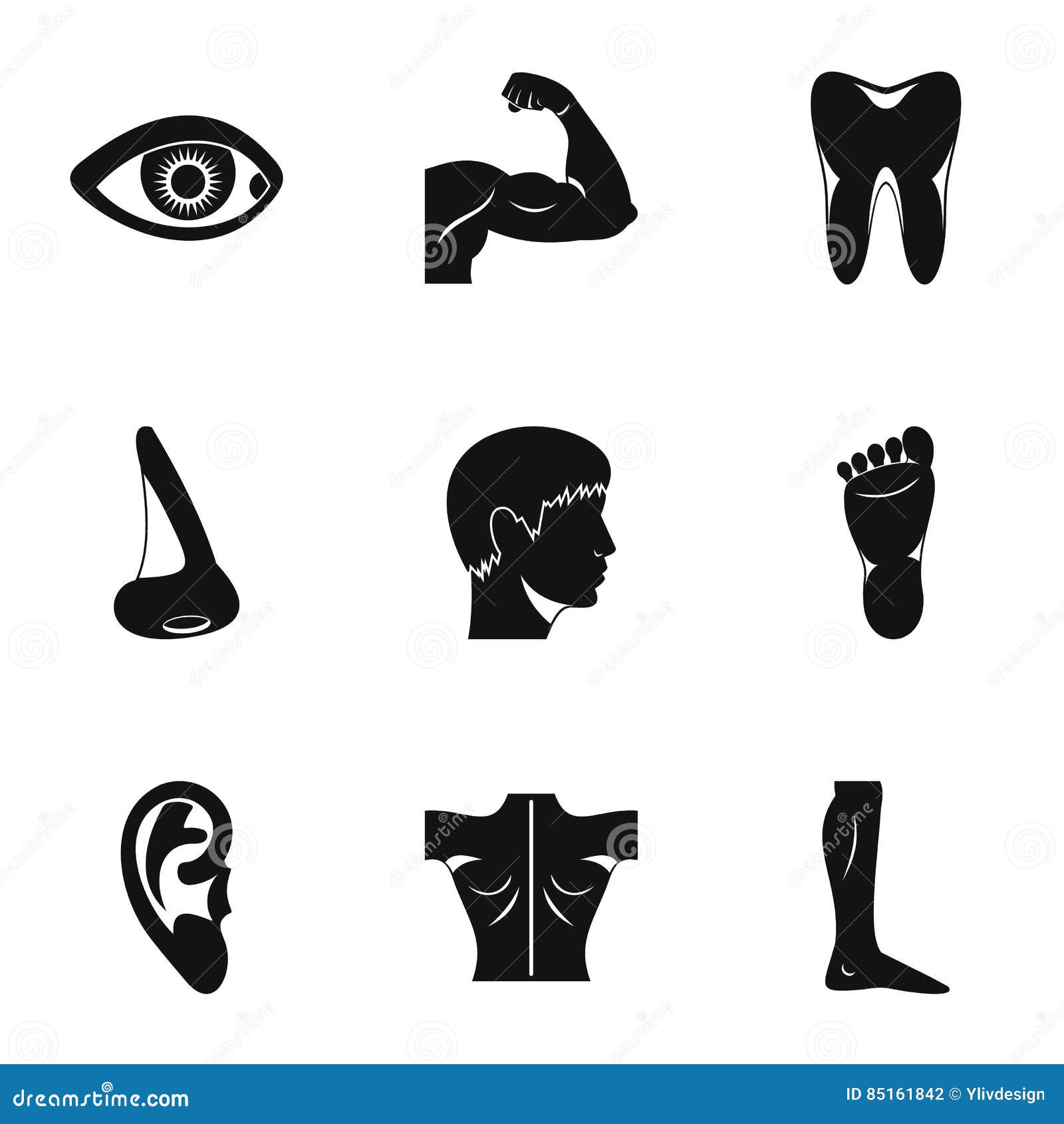 Human Body Icons Set, Simple Style Stock Vector - Illustration of ...