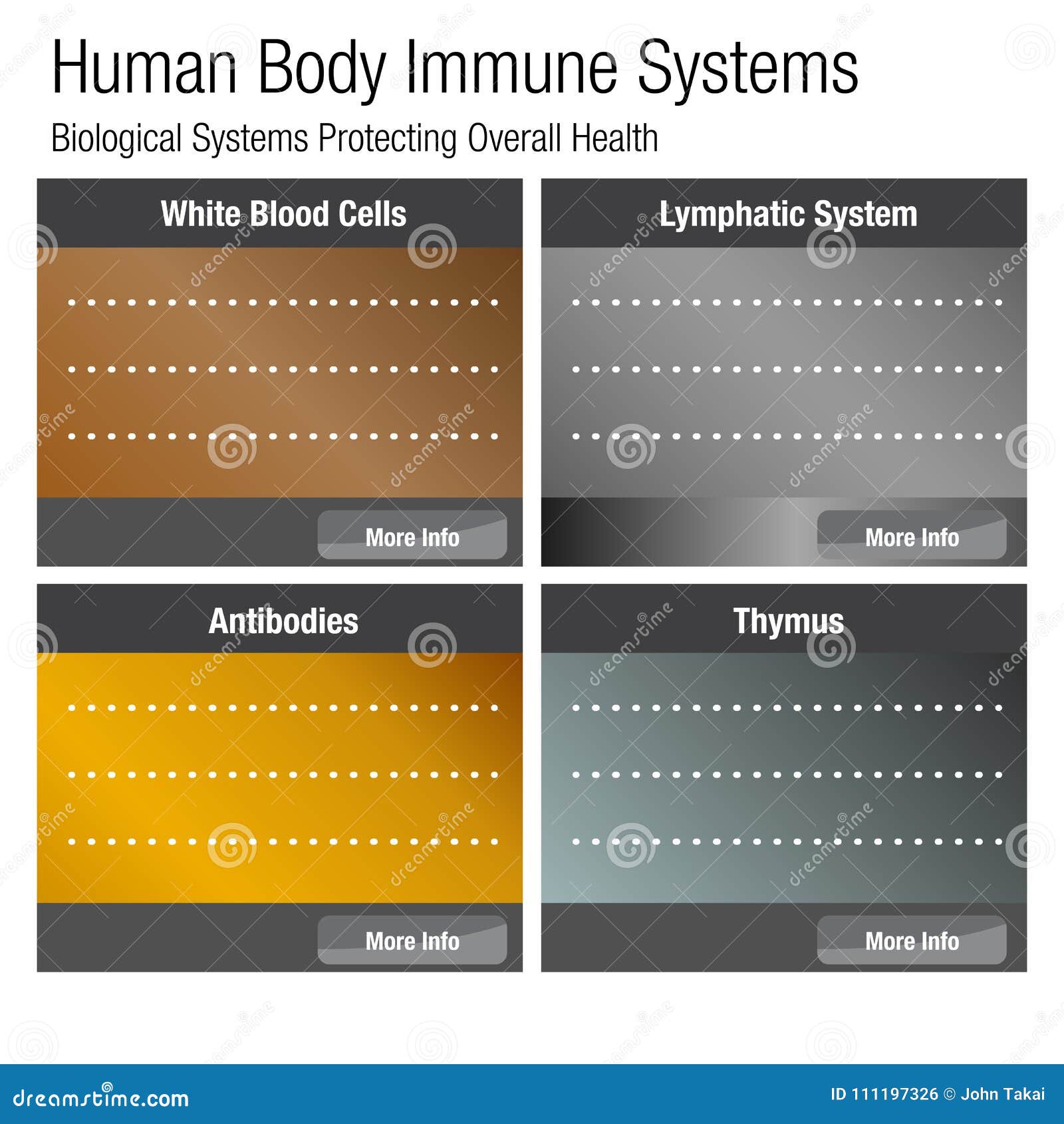 Human Body Immune Systems Chart Stock Vector - Illustration of gold ...