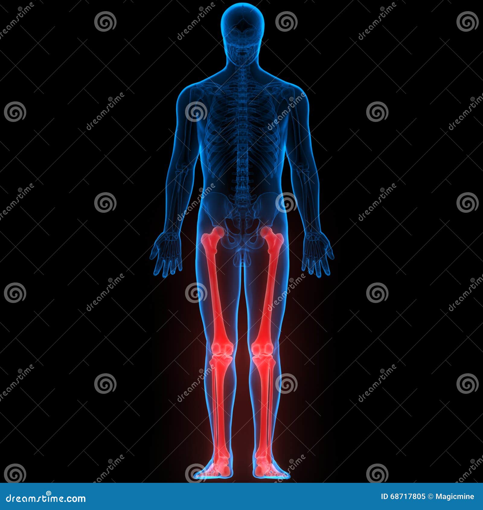 Human Body Joint Bone Pains Stock Illustration - Illustration of bone ...