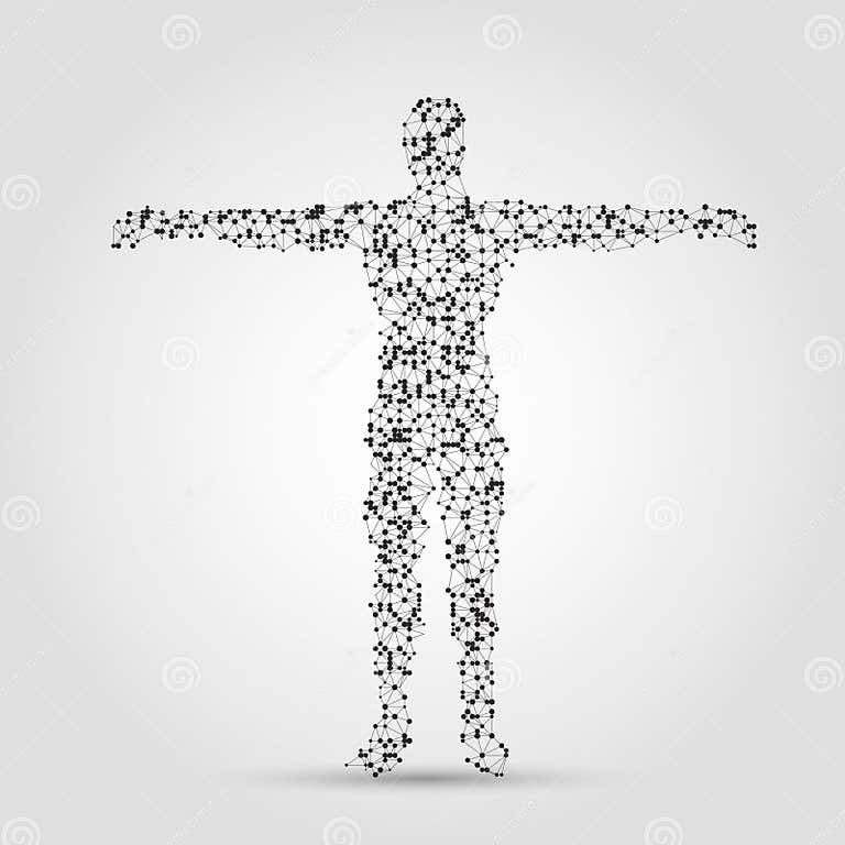 Human Body Made of Dots and Lines. Stock Vector - Illustration of human ...