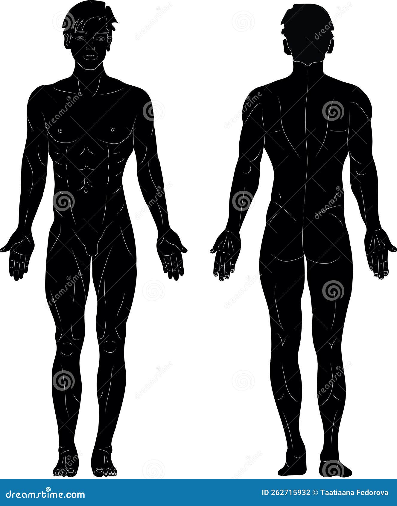 Human Body. Male Body Front and Back Stock Vector - Illustration of ...
