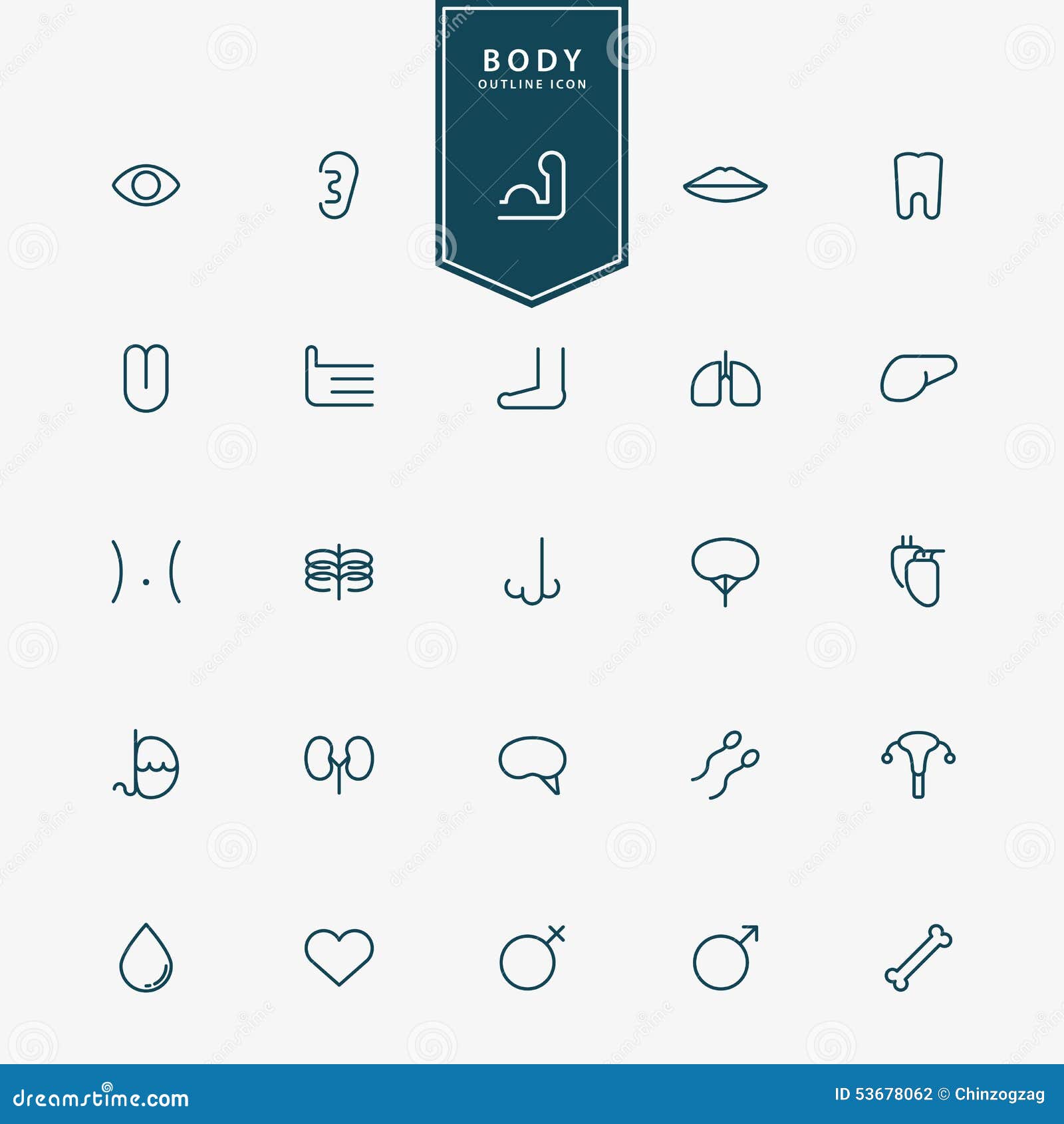 25 Human Body Minimal Line Icons Stock Vector - Illustration of bones ...