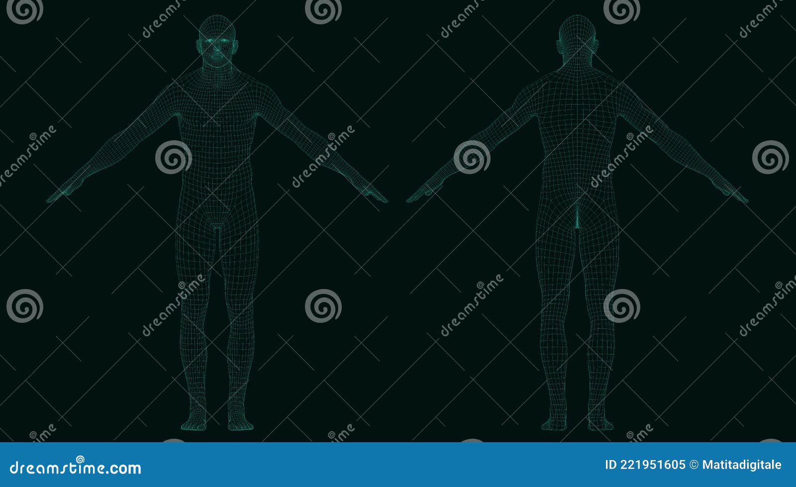 Human Body Model - Wireframe Illustration Stock Illustration ...