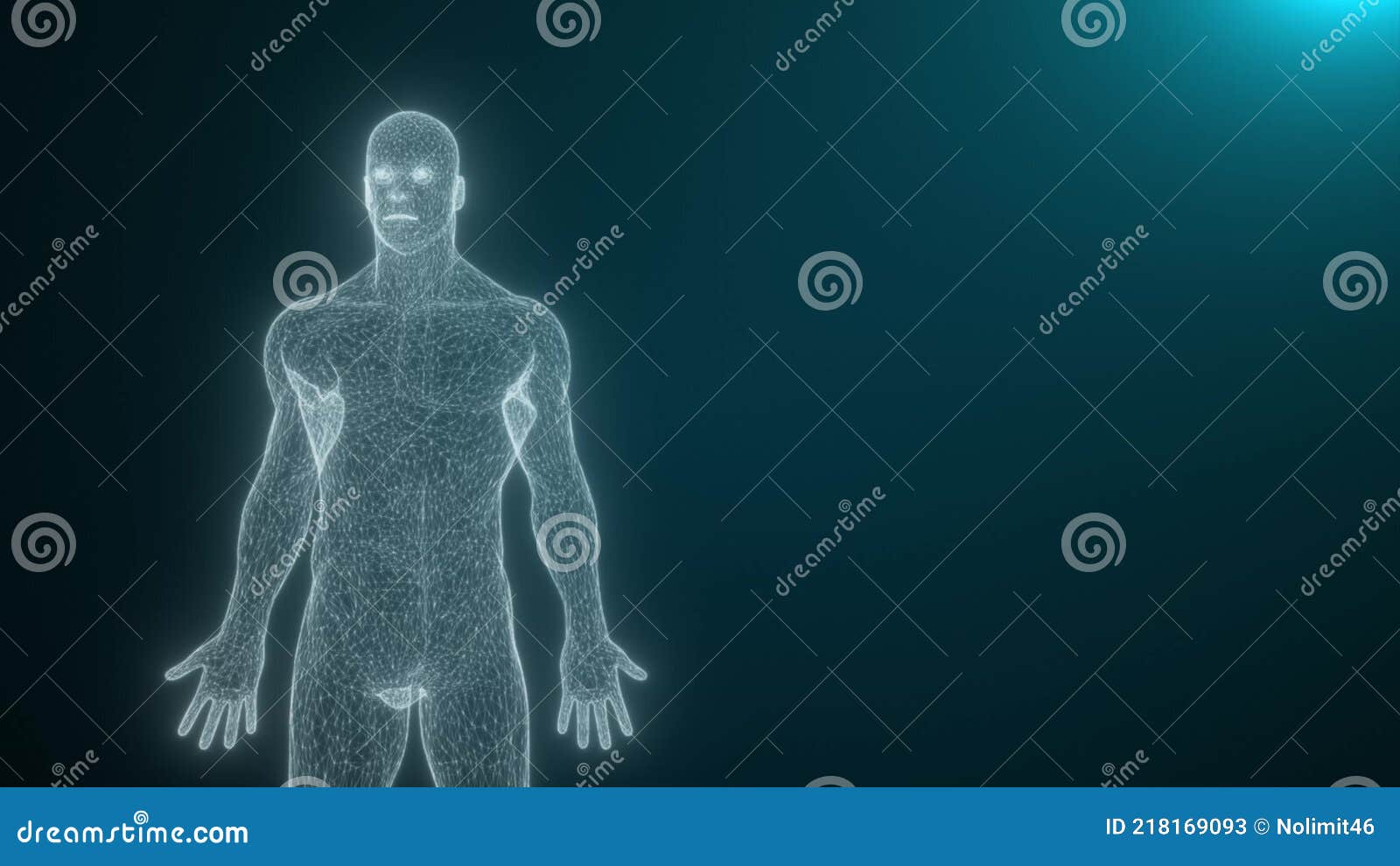 The Human Body is Modeled of Lines Stock Illustration - Illustration of ...