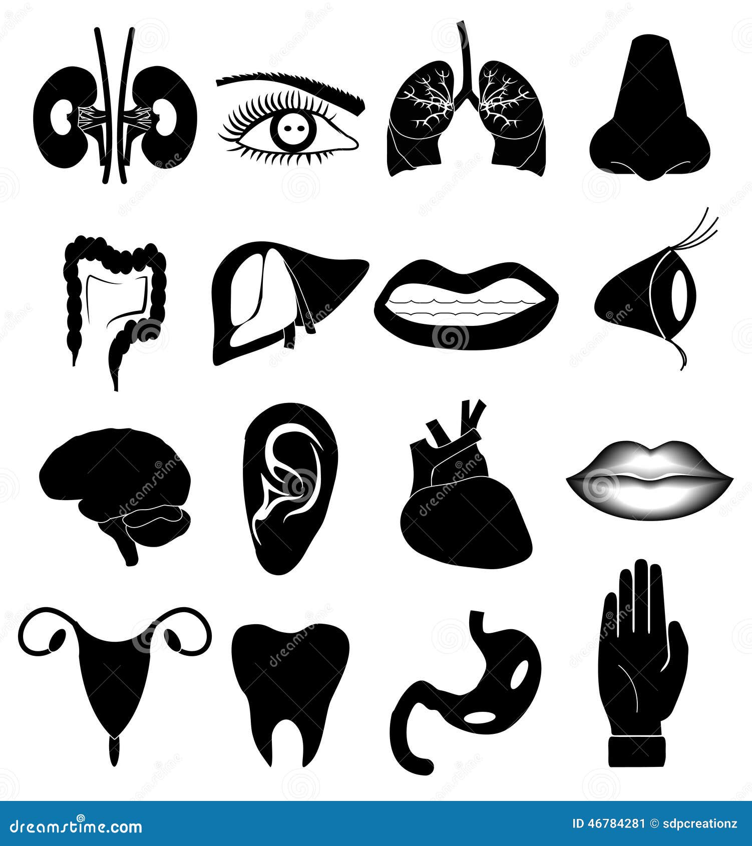Human body parts icons set stock vector. Illustration of health - 46784281 Human body parts icons set stock vector. Illustration of health - 46784281