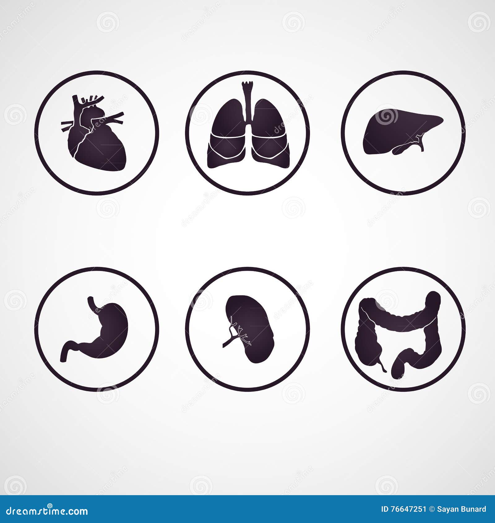 Human body parts logo stock vector. Illustration of design - 76647251