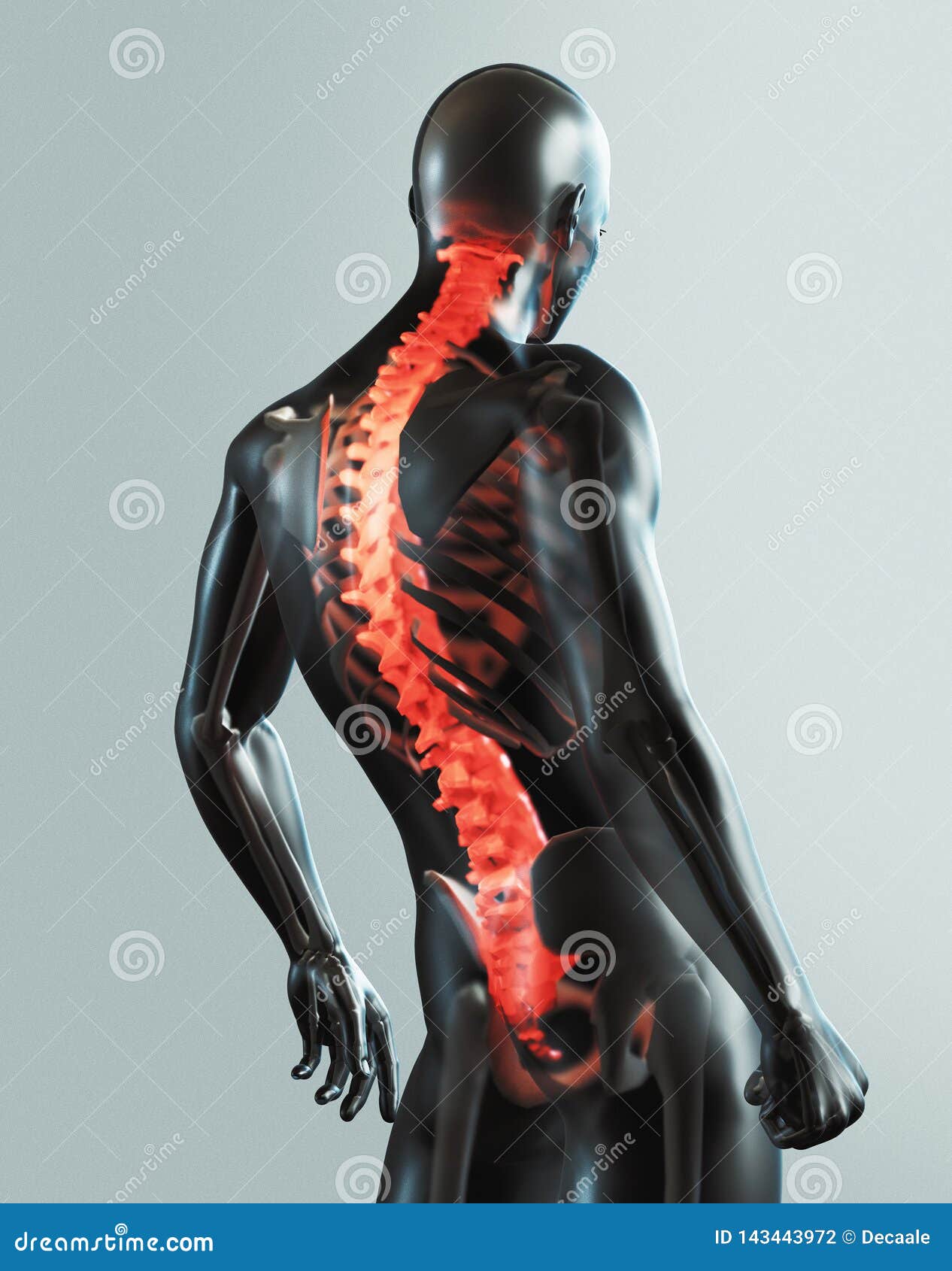 Lower Back Body Parts