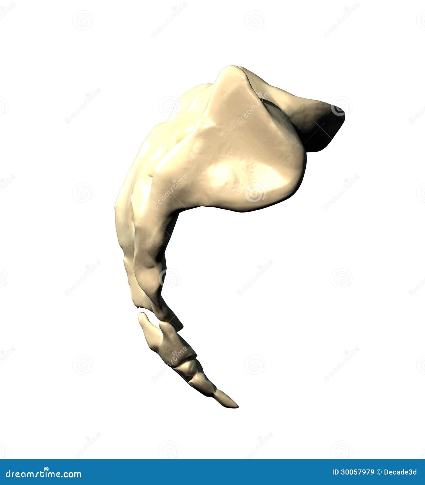 Lateral And Top View Of CTA Coronary Artery 3D. Stock Photo ...