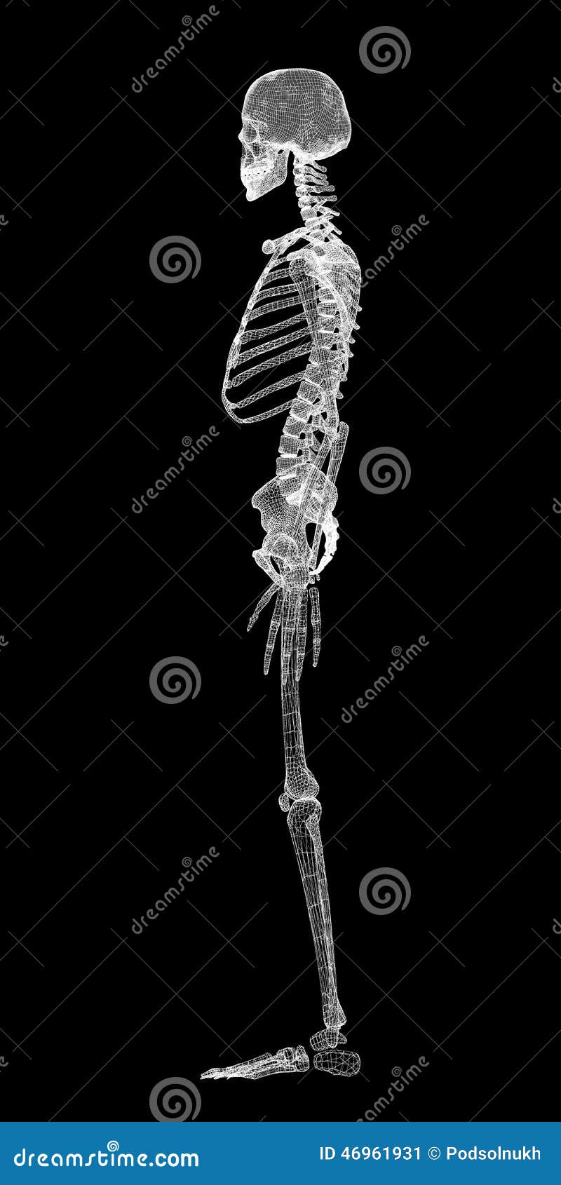 The Body And The Skeleton Of A Dead Rotten Rotten Fish. Leftovers From ...