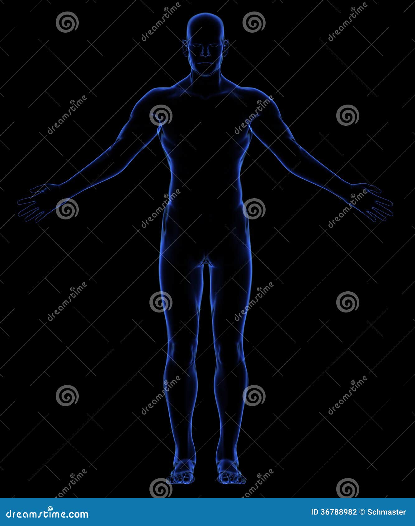 Human body stock illustration. Illustration of medic - 36788982