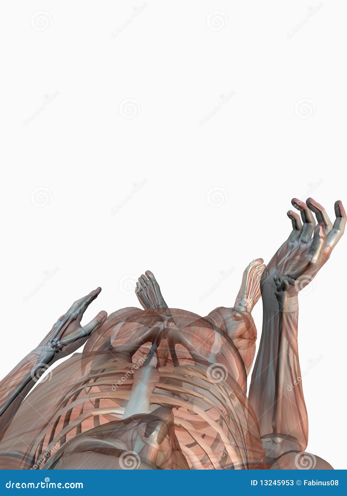 Human body subsurface stock illustration. Illustration of biologically ...