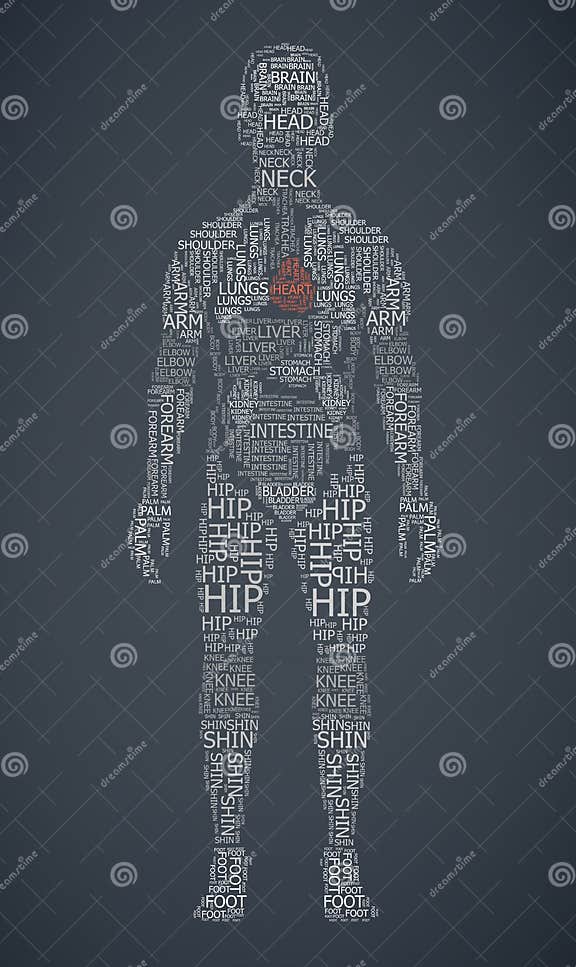 Human body wordcloud stock vector. Illustration of silhouette - 31565058