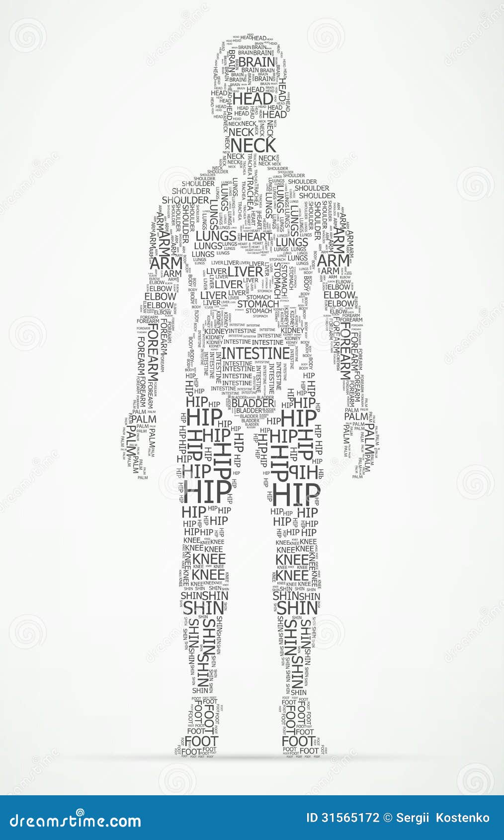 Human body wordcloud stock vector. Illustration of healthy - 31565172
