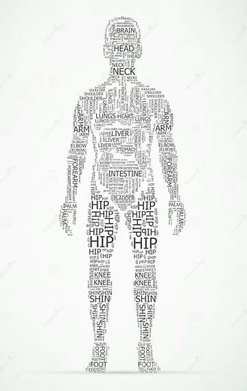 Human body wordcloud stock vector. Illustration of healthy - 31565172