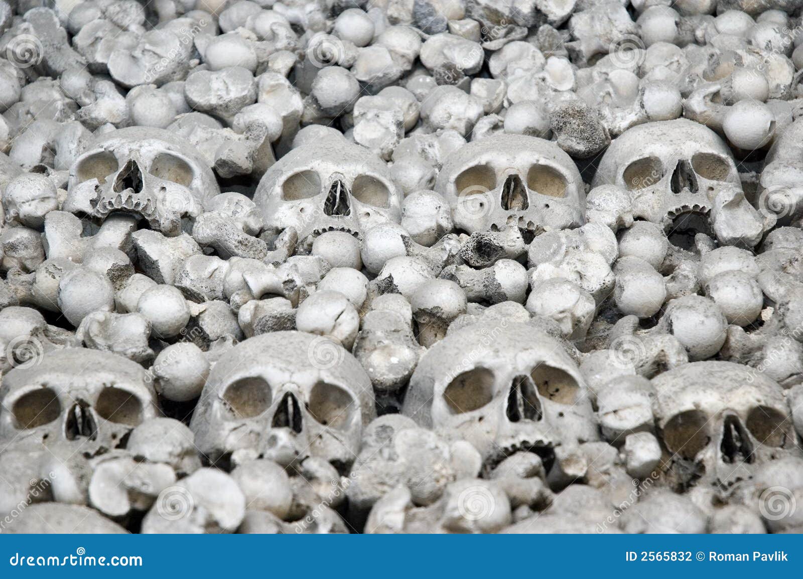 Human bone stock photo. Image of fear, burial, evidence - 2565832