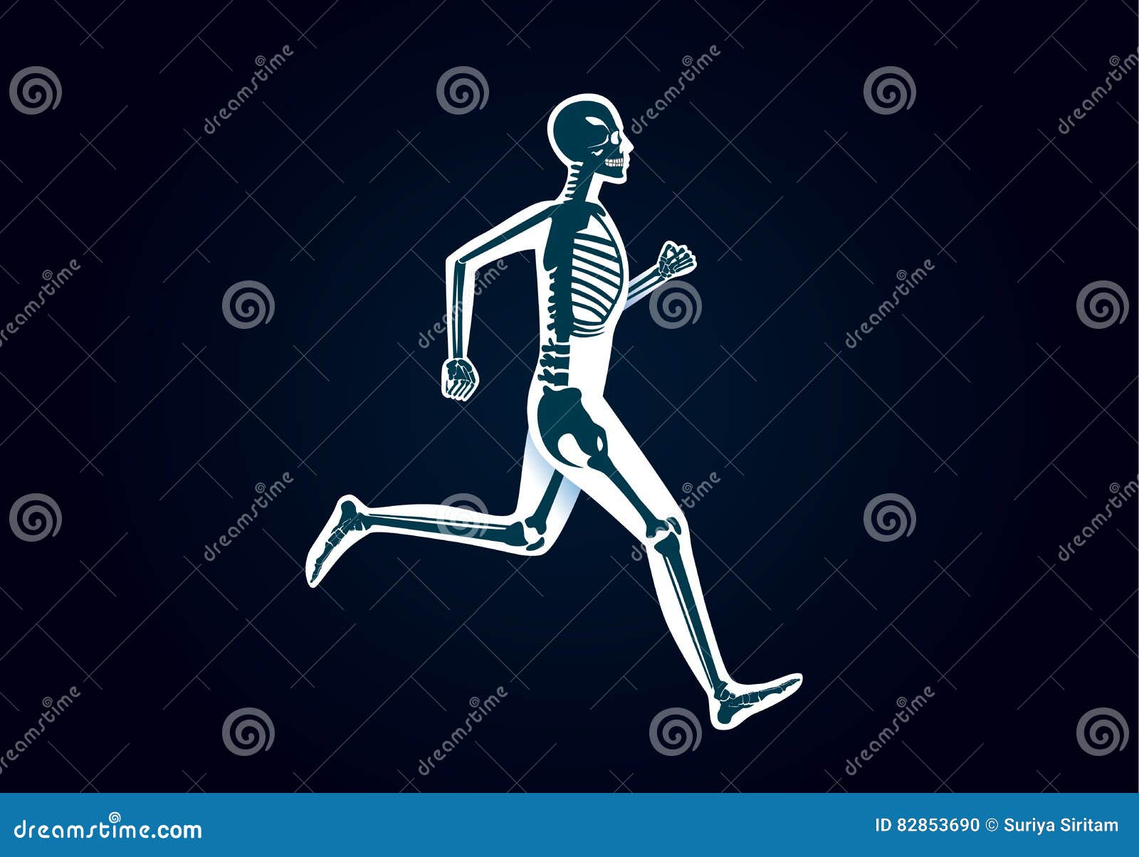 Human Bone Anatomy while Run Stock Vector - Illustration of functions ...