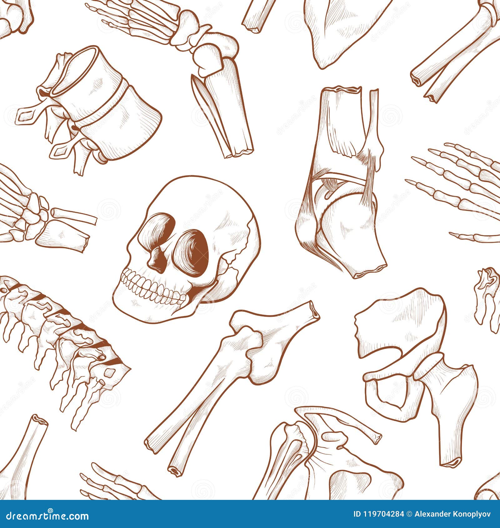 Human bone background stock vector. Illustration of dead - 119704284