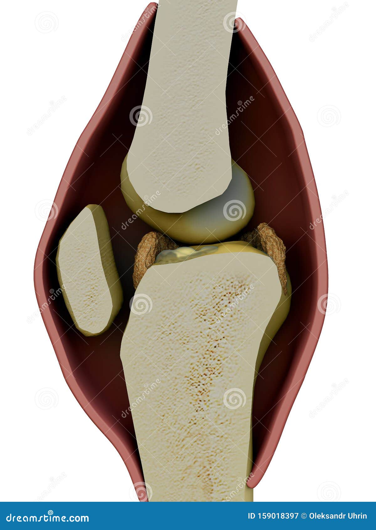 Royalty Free Images, Cartoons, Illustrations And Photos Designed By ...