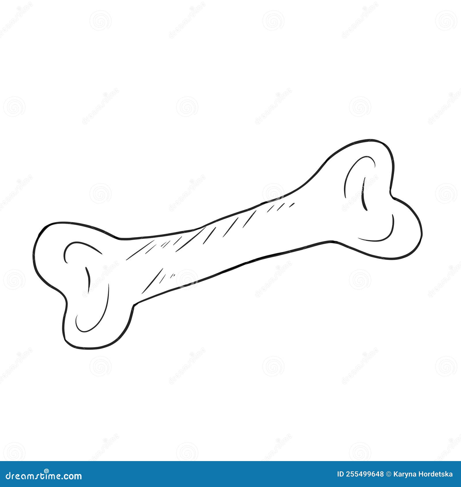 The Human Bone for Halloween, Line Art Illustration Stock Illustration ...