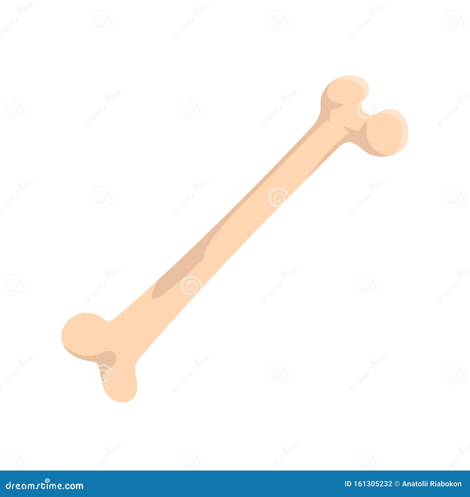 Human Bone Icon, Flat Style Stock Vector - Illustration of pain ...