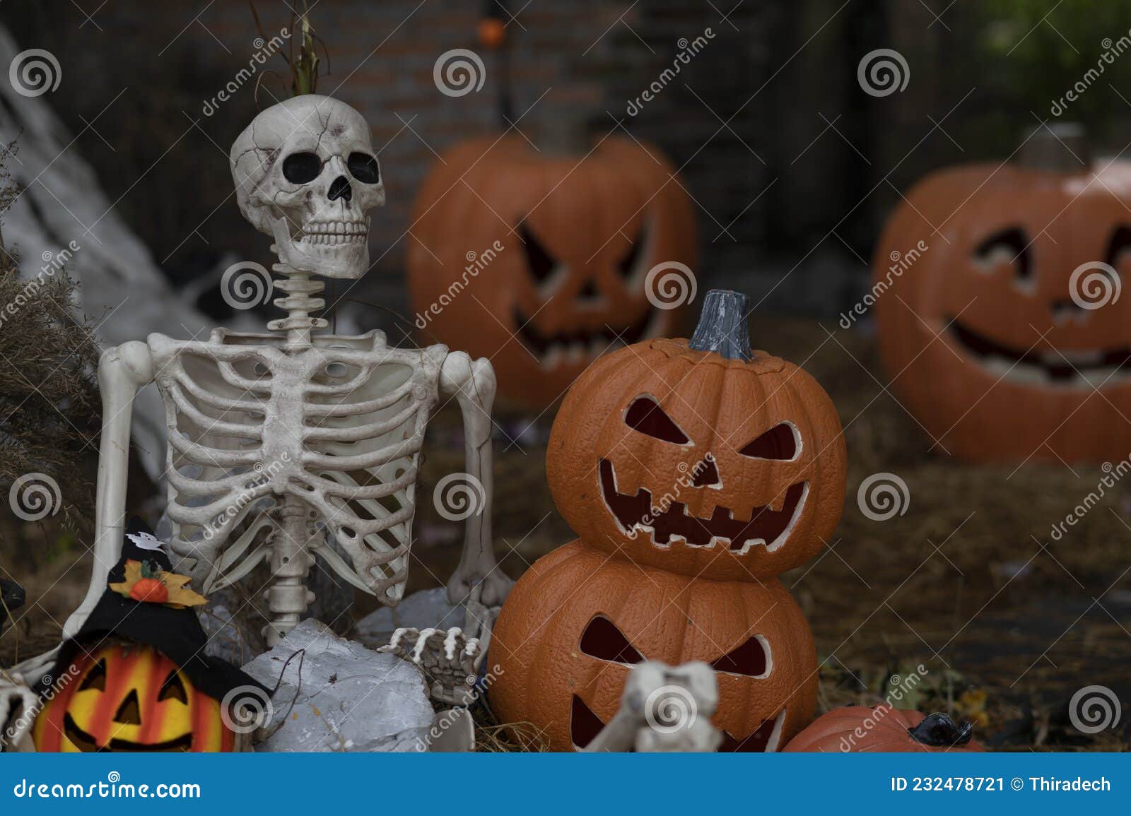 Human Bone Idea with Halloween Pumpkin Stock Image - Image of autumn ...
